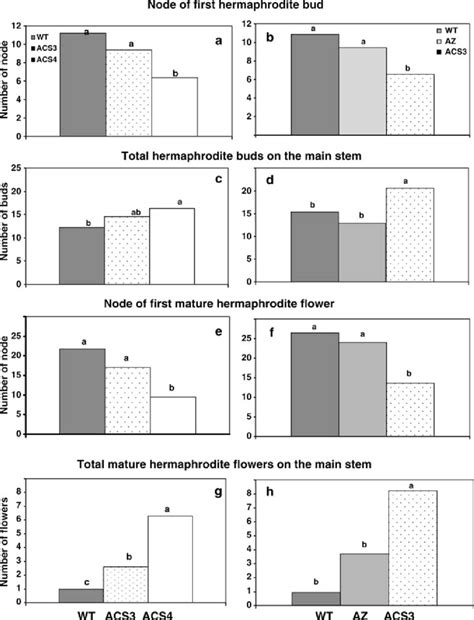 Sex Expression Pattern Of Wild Type WT Azygous Segregant AZ And Download Scientific