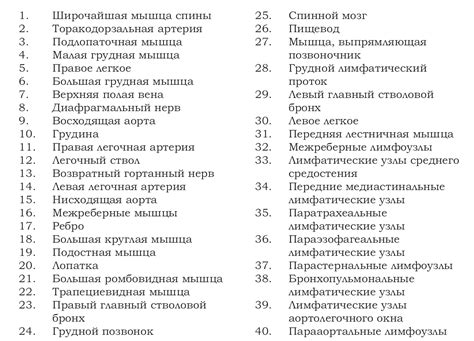 Особенности лучевой диагностики от Александра Шаховского Эталоны КТ срезов для анализа органов
