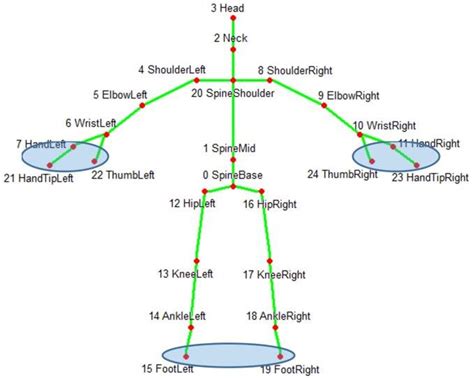 Skeleton Provided By Microsoft Kinect V2 And Points Excluded From