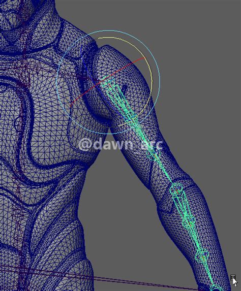 [maya]rigging 02 skinning