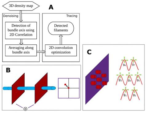 Figure 1 From Tracing And Segmentation Of Molecular Patterns In 3 Dimensional Cryo Etem Density
