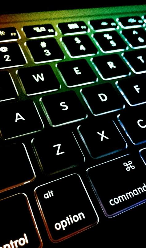 Differences Between Web Design And Web Development Xneda