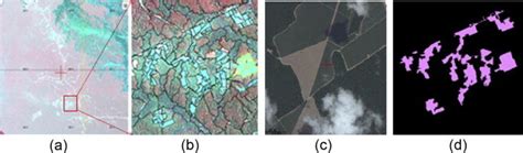 Object Based Cultivated Land Extraction A Tm Image In Amazon Forest Download Scientific
