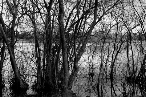 Sans Titre On Tumblr