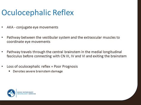 Head Trauma Pathophysiology Evaluation And Treatment Ppt Video
