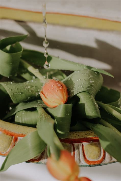 دانلود عکس قطره های آب با کیفیت عالی Full Hd