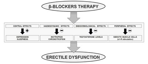 Can Beta Blockers Cause Erectile Dysfunction Best Sale