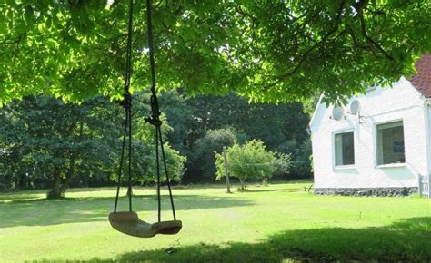 The Best Grass For Shade Spots In The Yard Shade Grass Best Grass