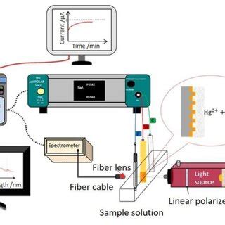 A Redox Current Curves During The First Cyclic Voltammetry Scan And