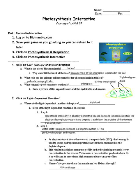 Jacob Gutierrez Virtual Bioman Photosynthesis Pdf Worksheets