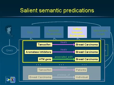 Semantic Medline Multidocument Summarization And Visualization Thomas C