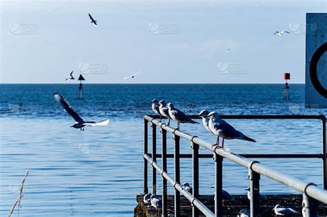 都排成一行