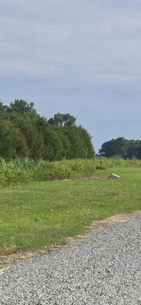 John Henry And Mary Glisson Reaves Cemetery In Mount Olive North Carolina Find A Grave Cemetery
