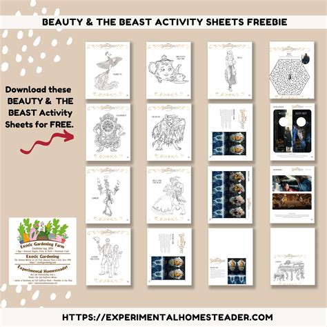 Moana Activity Sheets Freebie Experimental Homesteader