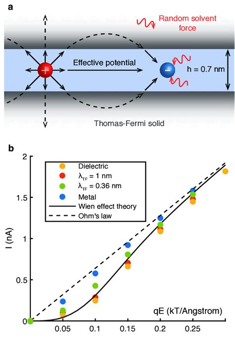 A Illustration Of The Brownian Dynamics Simulation Setup Point Like Download Scientific