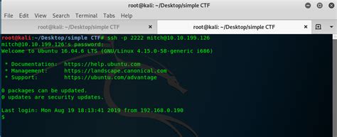 THM Write Up Simple CTF Planet DesKel