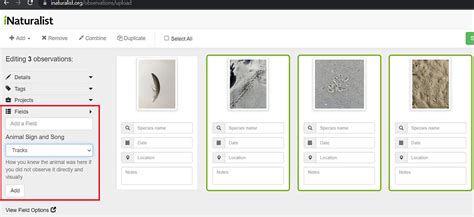 How To Bulkbatch Annotate Your Own Observations Tutorials Inaturalist Community Forum