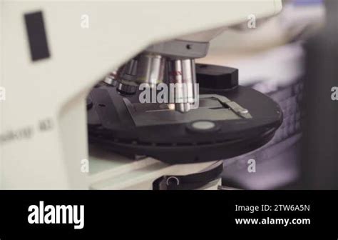 Light Microscope Slide Stock Videos And Footage Hd And 4k Video Clips