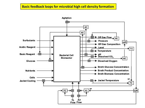 Lecture 3 Bioprocess Control Pptx Physics Science