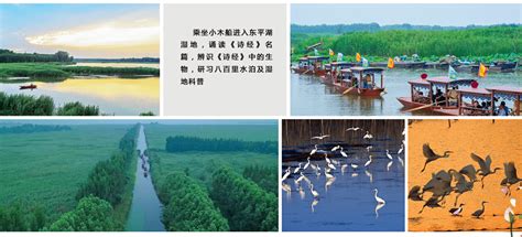 东平“一湖吞吐江河，一城穿越古今”荣获2020首届山东省研学旅行创新线路设计大赛二等奖文化