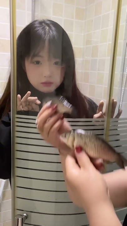 你我都是池中的鱼 Youtube