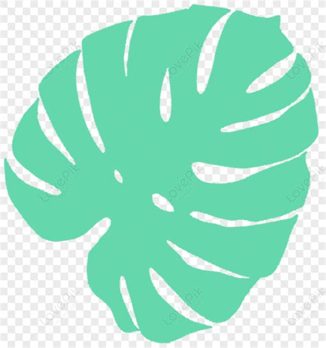 Tree Grass Graphic Green Leaf Leaf Palm Leaf Tropical Png Image And Clipart Image For Free