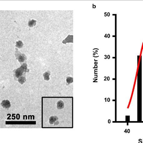 Nano Pfc Functions To Accelerate Bone Fracture Healing A A Flow Chart Download Scientific