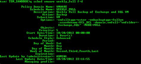 TSM 6 3 Backup And Restore VMware Virtual Machine Part 2 Jackie Chen S IT Workshop