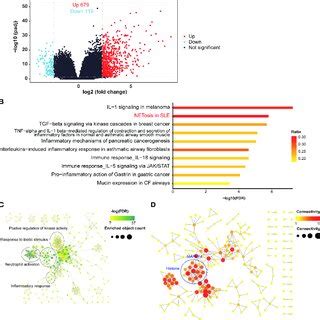 DEG Identification And Analyses A Volcano Plot Of RNA Seq The Download Scientific Diagram