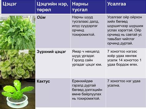 ЦЭЦГИЙН ТАЛААРХ СУДАЛГАА Pptx