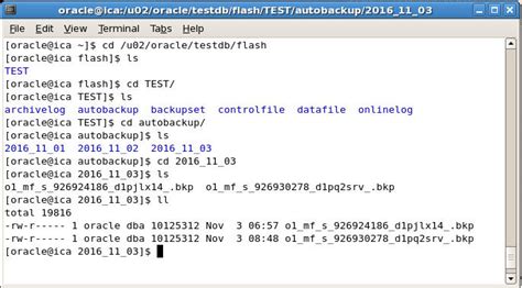 Restore Spfile And Controlfile In Disaster Recovery