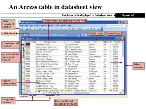 Ppt Microsoft Access 2003 Define Some Key Access Terminology