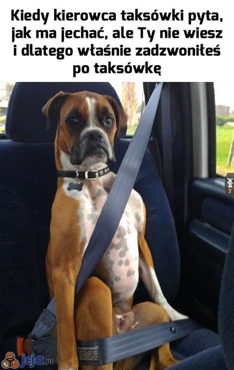 Ziom Ja Nie Wiem Jeja Pl