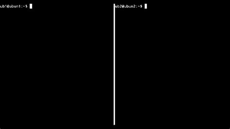 Serverslinuxcommandlinersync Root Chronicles