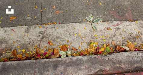 길가의 소화전 사진 Unsplash의 무료 퀘존 메모리얼 서클 타원형 도로 지하도 이미지