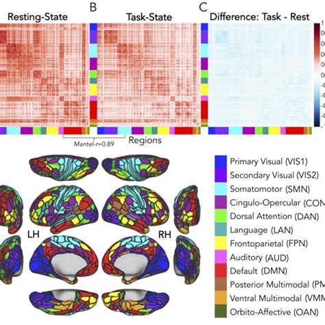 Functional Connectivity Fc Estimation A Resting State Functional Download Scientific