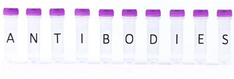 Antibodies For Tau Protein And Beta Amyloid Roboscreen Gmbh