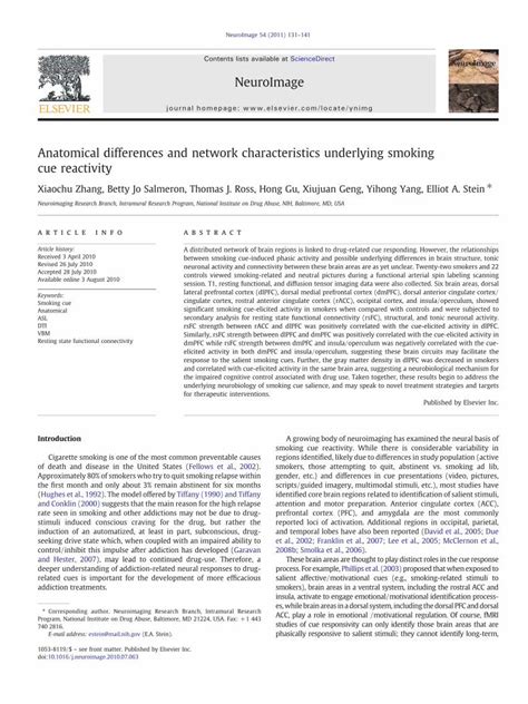 pdf anatomical differences and network characteristics underlying