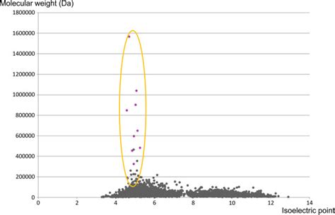 Relation Between Isoelectric Point X Axis And Molecular Weight