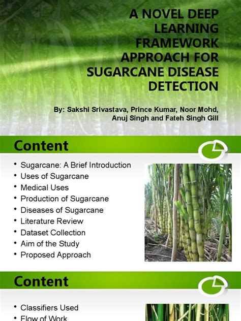 A Novel Deep Learning Framework Approach For Sugarcane Disease Detection Pdf Sugarcane