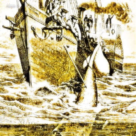 Pterosaurs And Birds — Did They Evolve From Each Other By Alan S Fossils Et Al Medium