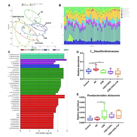 Css Restores The Normal Intestinal Microflora Constitution In Mice Download Scientific Diagram