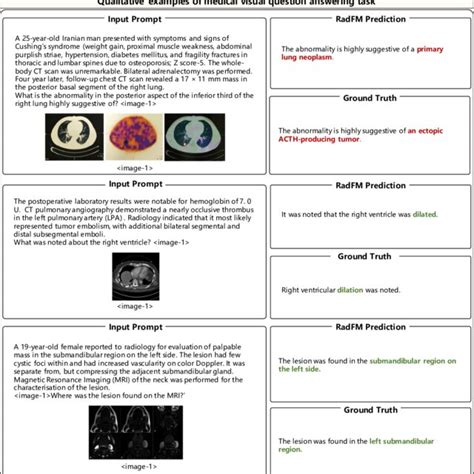 Qualitative Examples Of Medical Visual Question Answering Vqa We Download Scientific