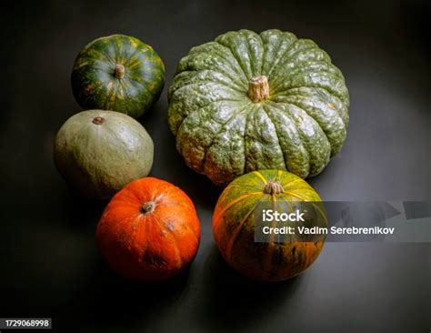 어두운 배경에 다양한 색상과 크기의 호박 네 가지 호박 클로즈업 10월에 대한 스톡 사진 및 기타 이미지 10월 가을 검정색 배경 Istock