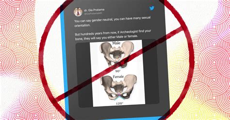 No You Cant Someones Sex By Their Pelvic Bone