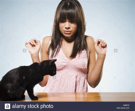 Scared Cat Stock Photos Scared Cat Stock Images Alamy