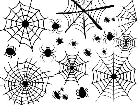 Creative Spider Web And Spider Clip Art Vector Unique Set Hand Drew Vector Illustration These