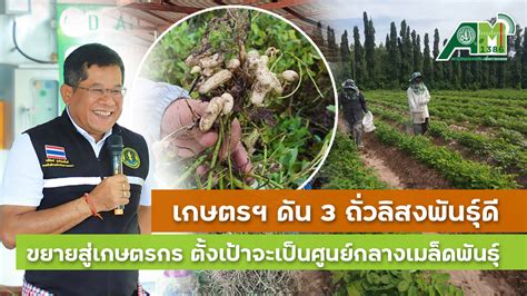 เกษตรฯ ดัน 3 ถั่วลิสงพันธุ์ดี ขยายสู่เกษตรกร สถานีวิทยุกระจายเสียงเพื่อการเกษตร