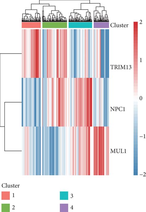 The Autophagy Signature Member Expression And Survival Analysis In The Download Scientific