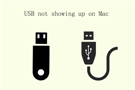 Why Is My USB Not Showing Up On Mac How To Fix MiniTool
